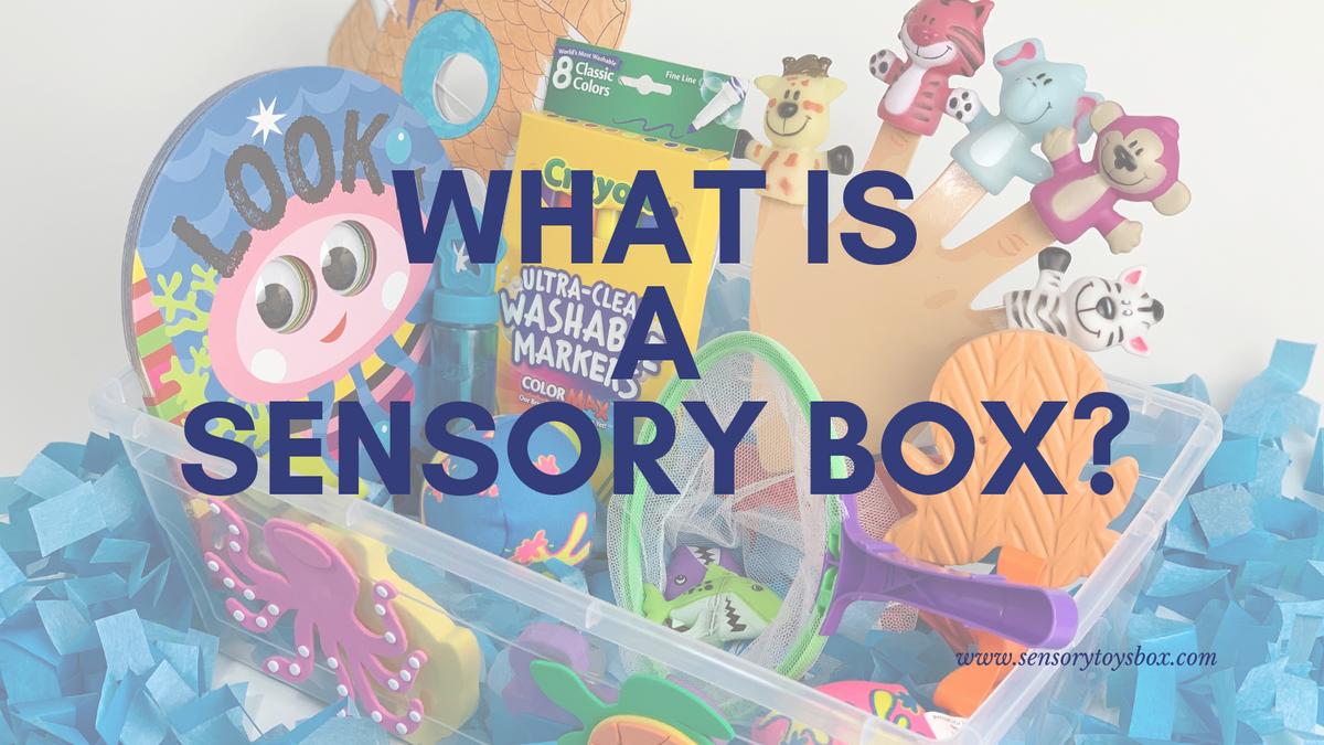 What is a sensory box? – Sensory Toys Box